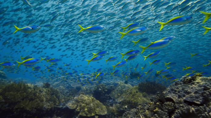 Netflix's 'Breaking Boundaries: The Science of Our Planet' : A Call To ...