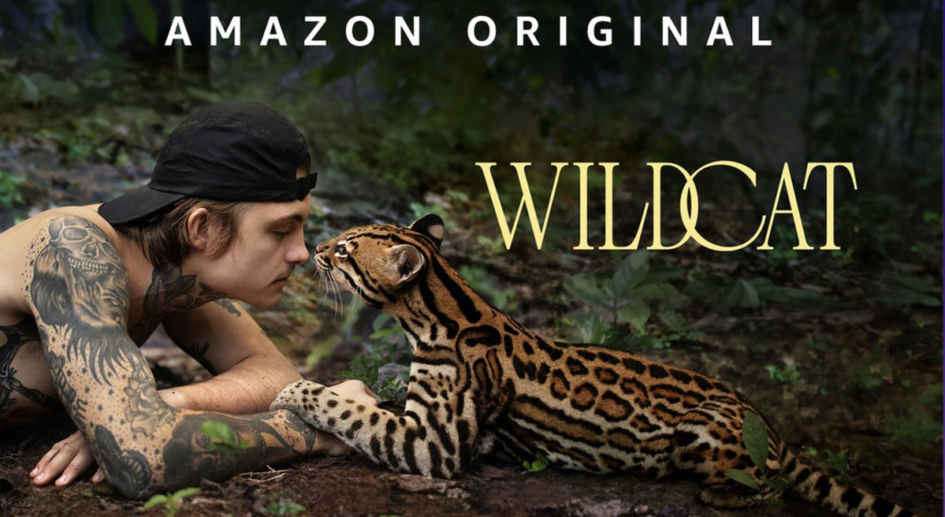 Wildcat : Exclusive Interview with a Former British Soldier Harry ...