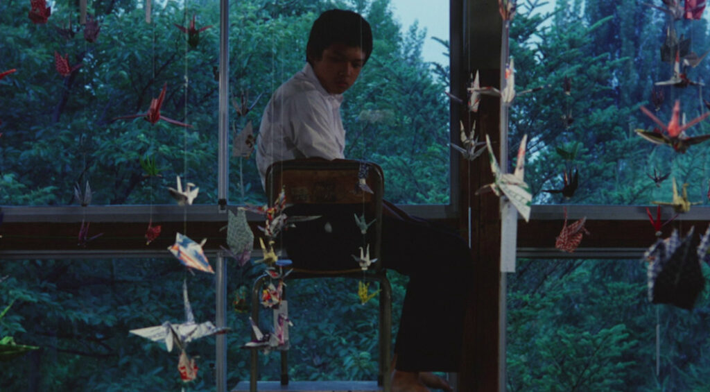 Rites of Passage: The Films of Shinji Somai At Japan Society: Typhoon ...