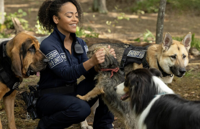 Movie Review: Strays is a Hilarious, Heartfelt R-rated Deadpool-esque ...